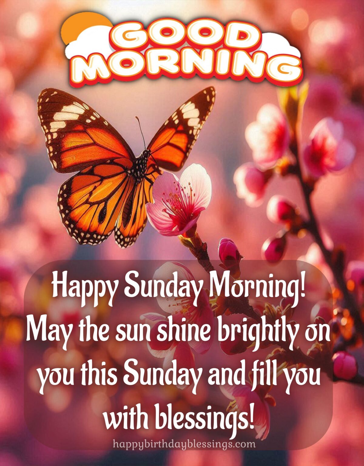 100+ Good Morning Sunday Blessings Images